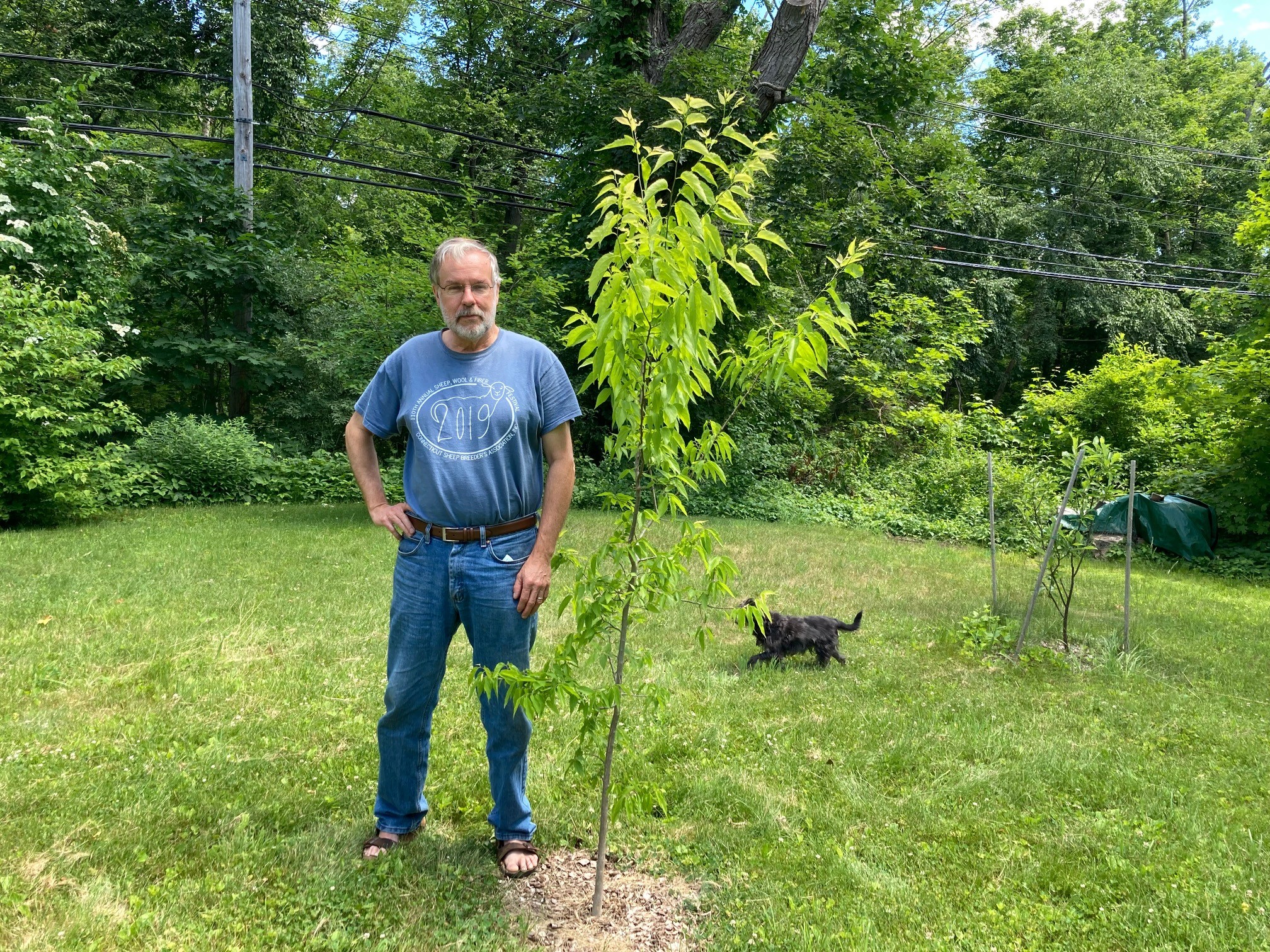 Bring in the Rare Butterflies – Beyond Your Back Door